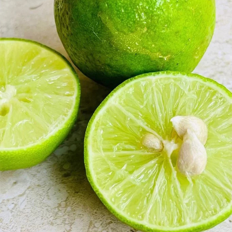 Key Lime Seeds for Planting Home Gardening, Rare Fruit Seeds – Haiyiplants