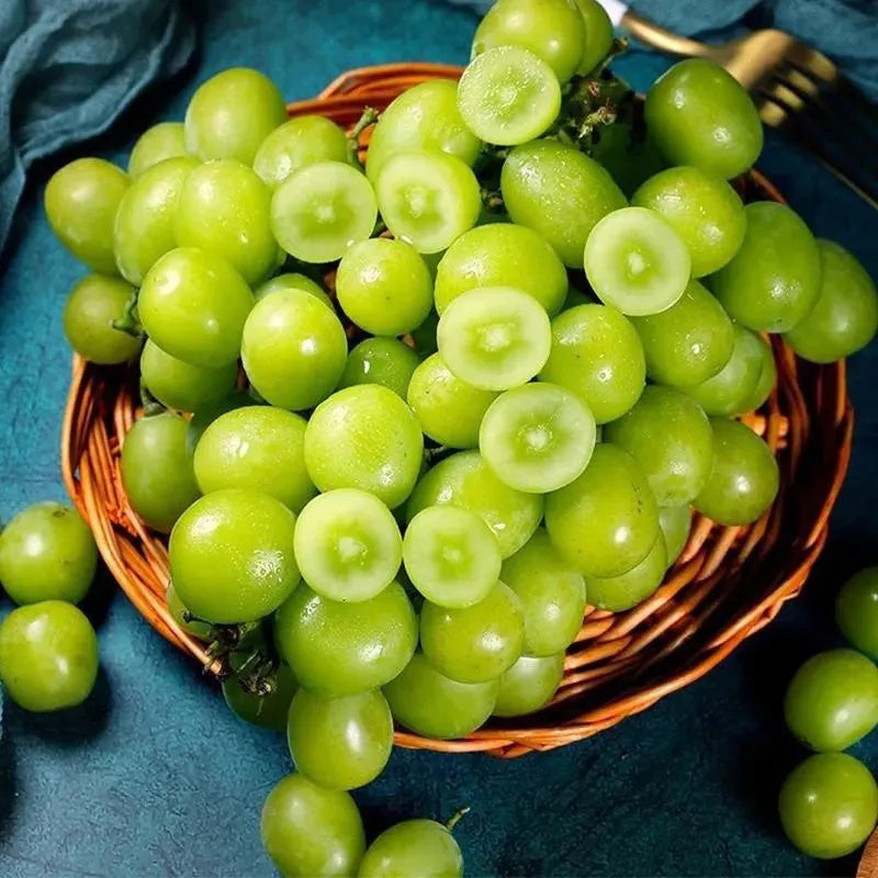 Shine Muscat Tree Seeds-Sunshine Rose Grape（Can be potted） – Haiyiplants